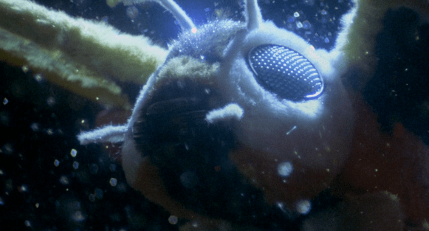 More Like Re-Girth of Mothra ;) (Part 1 of 2) | MONSTERS CONQUER THE WORLD